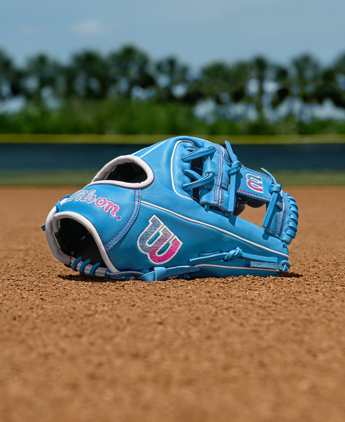 Baseball Gloves for infield, outfield, first base and catchers